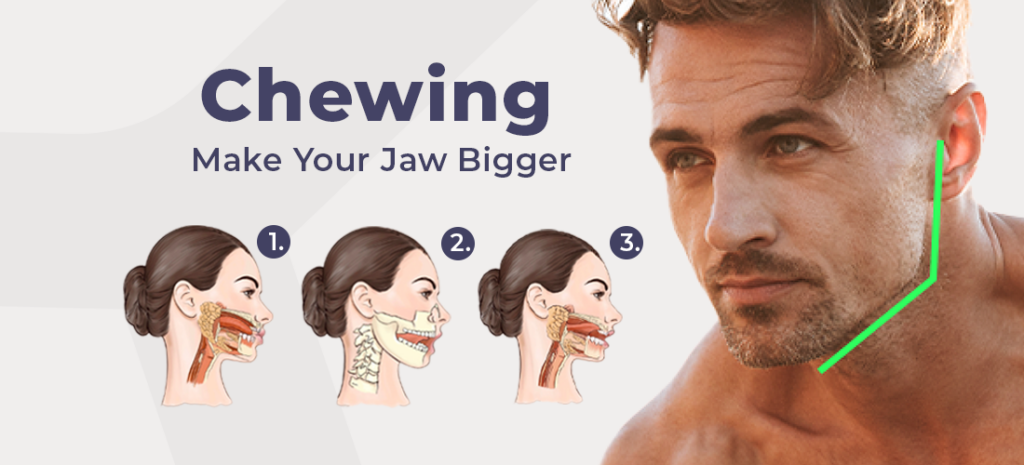 Is It a Myth, or Can You Grow Your Jaw Muscles? | Mewing.coach