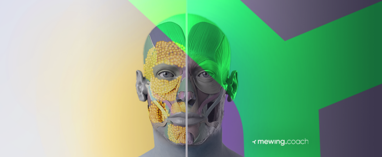 Let's Find Out How to Lose Face Fat and Get a Jawline | Mewing.coach