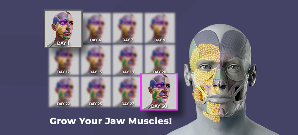 Mewing: What it Is & How to Mew Properly? | Mewing.coach