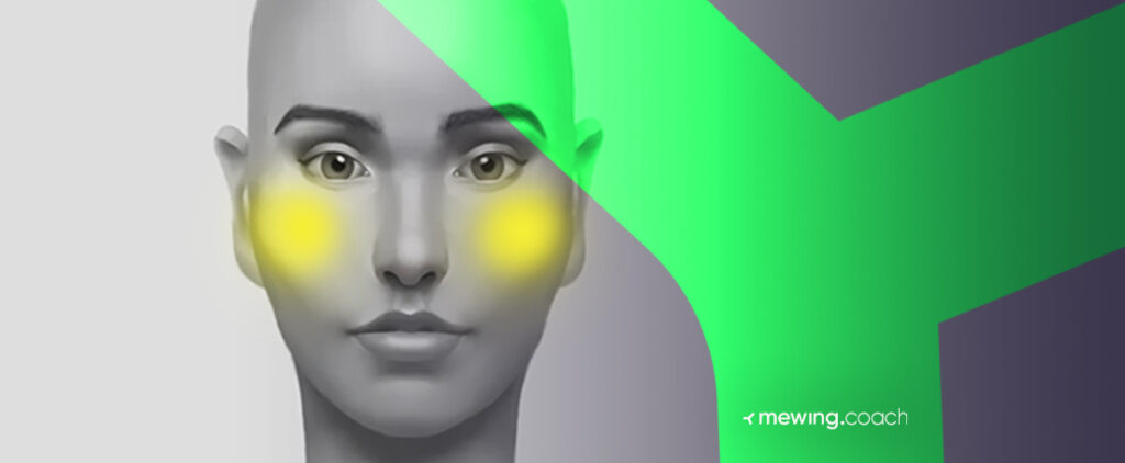 5 Reasons Why Your Cheekbones Could Appear So Big | Mewing.coach