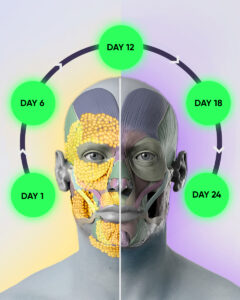 Face Yoga for Double Chin: 12 Most Effective Exercises | Mewing.coach