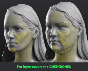 5 Reasons Why Your Cheekbones Could Appear So Big | Mewing.coach