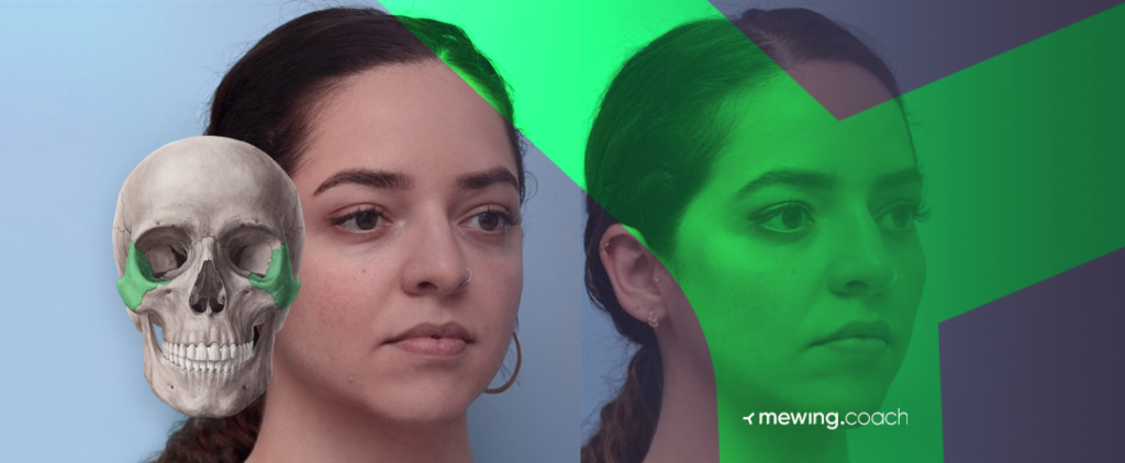 High vs. Low Cheekbones: How to Tell the Difference | Mewing.coach
