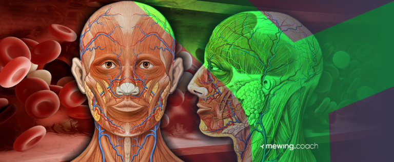 Increase Blood Circulation in Face With 8 Easy Exercises | Mewing.coach