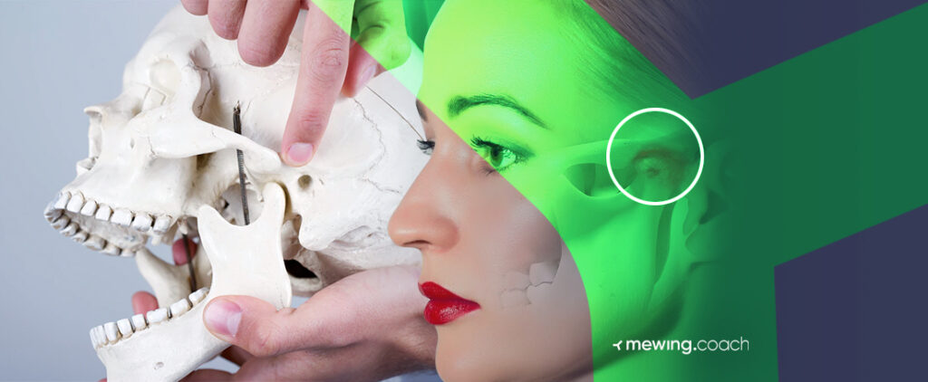 Jaw Clicking & Popping Explained | Mewing.coach