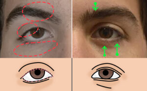 Mewing Guide: 8 Steps to Success (+How To Video & Diagram) | Mewing.coach