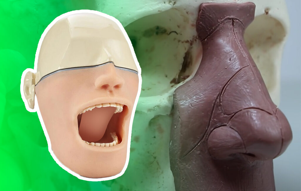 Mewing Guide: 8 Steps to Success (+How To Video & Diagram) | Mewing.coach